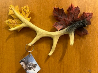 Antler & Maple Leaf Key Holder – Natures Window