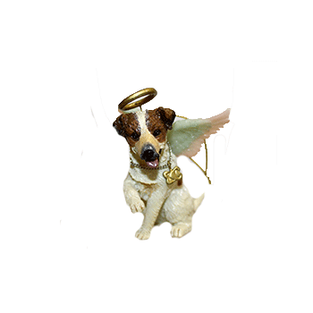 Jack Russell Angel Dog – Natures Window