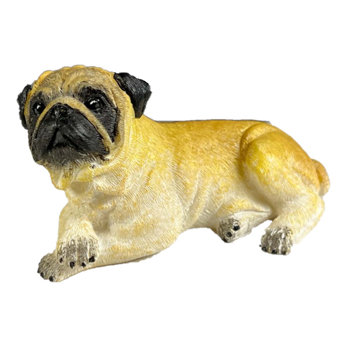 Pug Kennel Club Dogs* – Natures Window