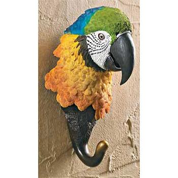 Multi Colored Parrot Wall Hook – Natures Window