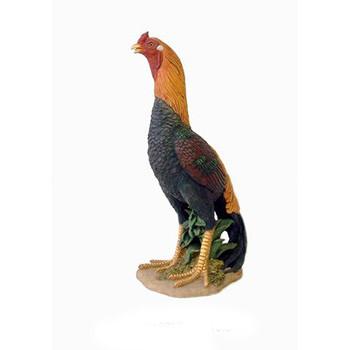 Roco Rooster – Natures Window