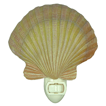 Shell Night Light – Natures Window